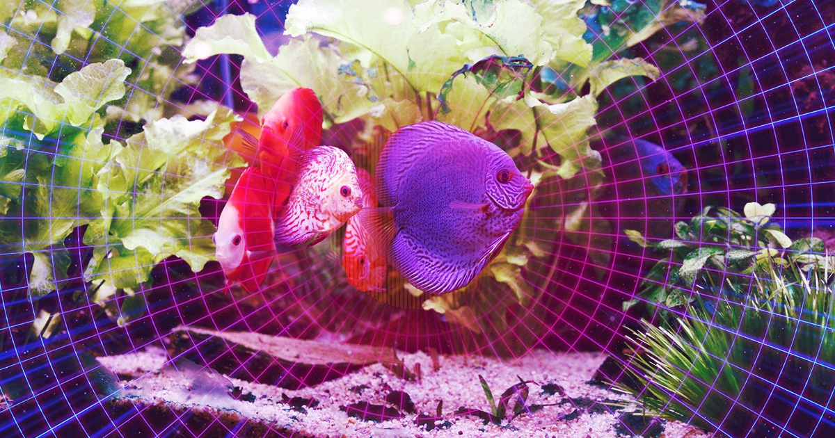 Build an Aquarium Vacuum, Free Classroom Learning Activity | The Purple ...