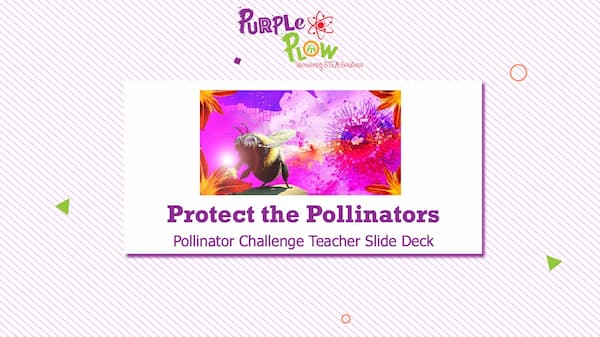 Purple Plow Pollinator Challenge | The Purple Plow Challenge